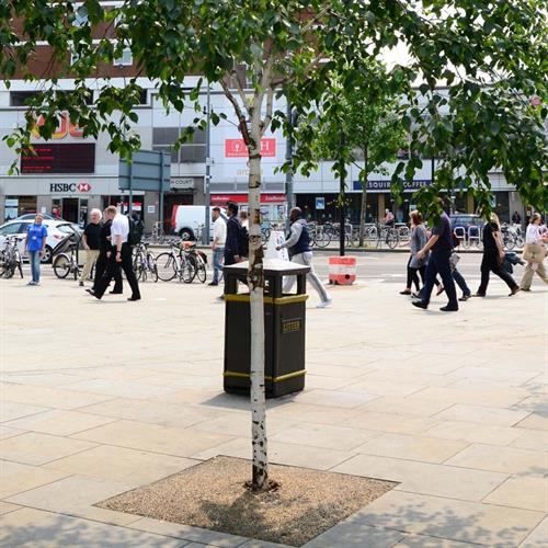 Civic Trees plant trees for Mayor's RE:LEAF scheme | Latest News