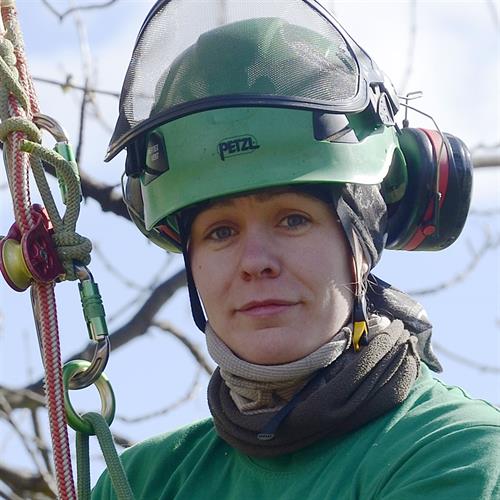 Women in trees - meet arborist Kirsty Smith