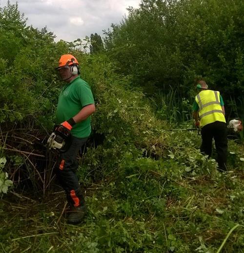 Charter Primary Clean up Challenge