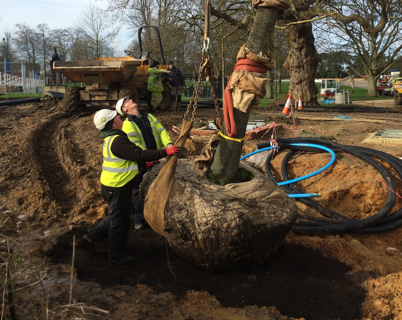 Countryside Management & Other Services - Glendale