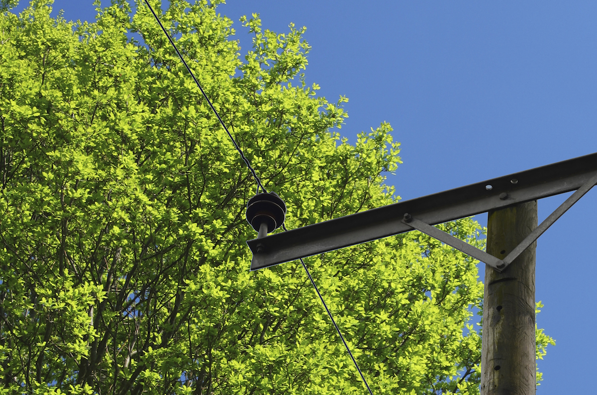 Utility Arboriculture Services & Arboretum Management - Glendale