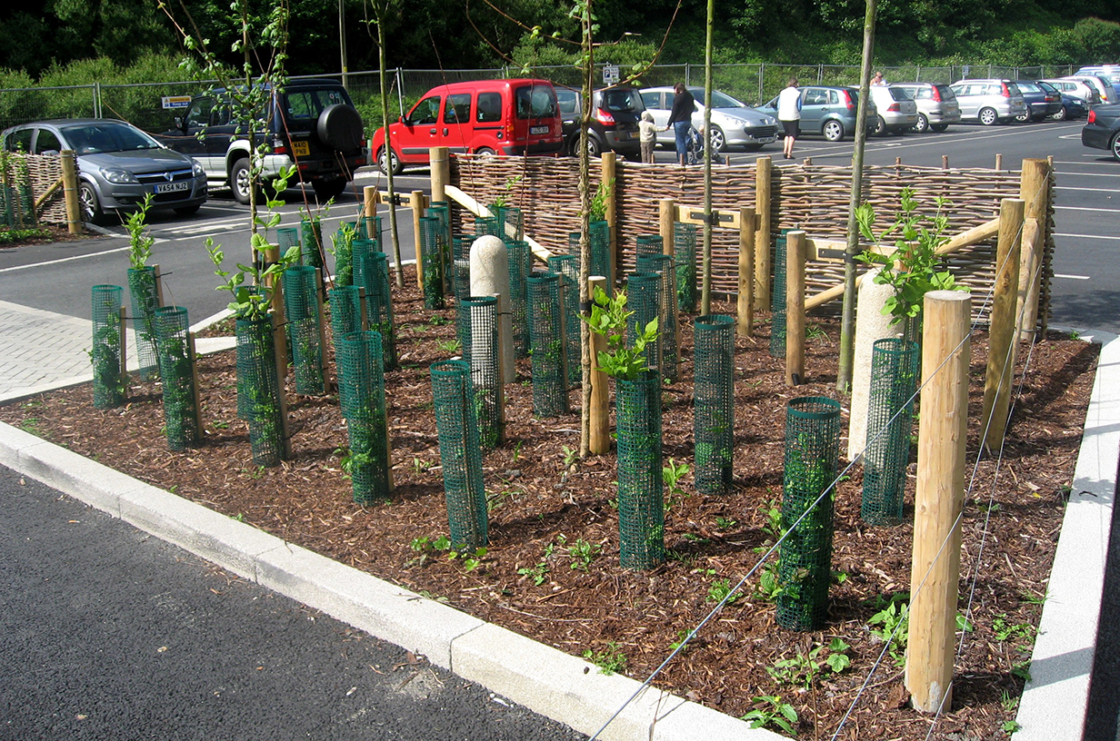 Commercial Landscaping & Vegetation Clearance - Glendale