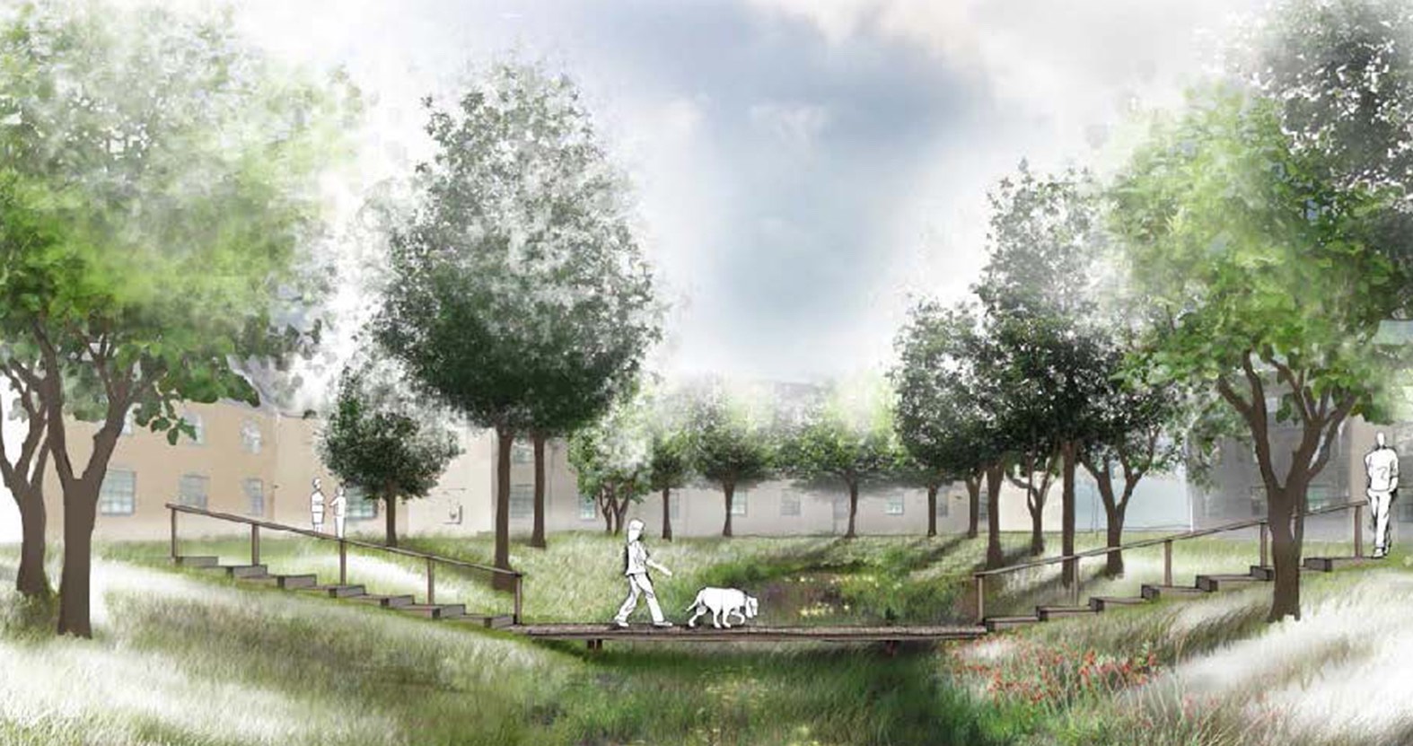 Arboricultural Consultancy - Tree Consultants | Glendale UK