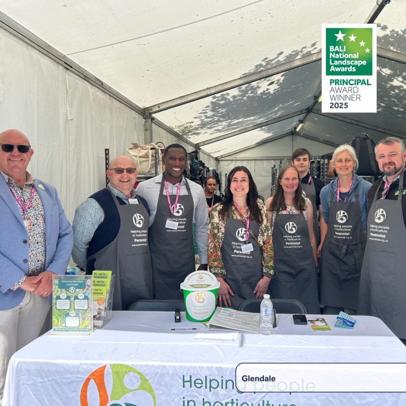 Glendale Wins Principal Award for Employer Excellence at 2025 BALI Awards